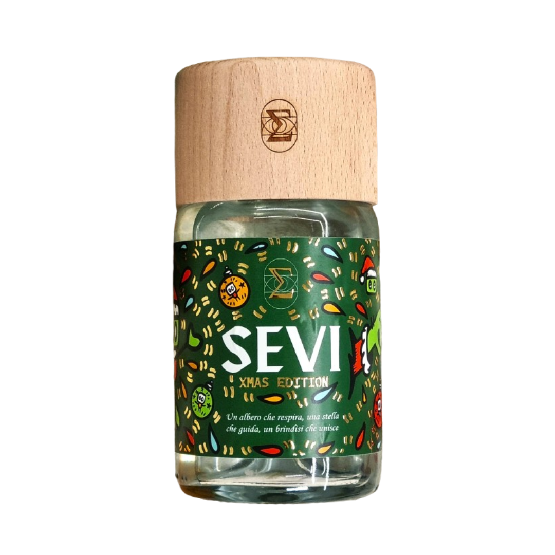 SEVI DISTILLATO ALL'ARANCIA – Sevi London Dry Gin